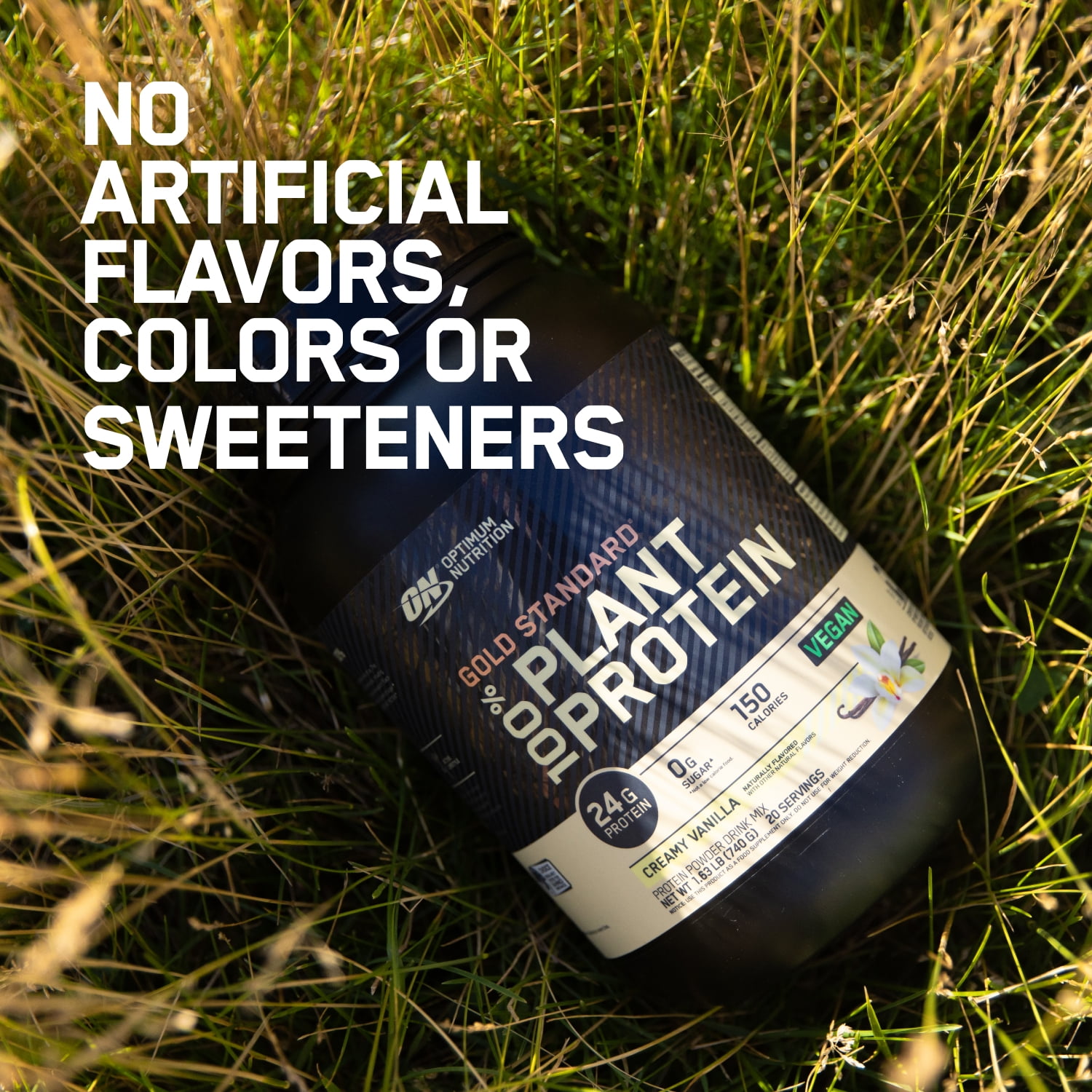 Gnc Gold Standard Whey Protein