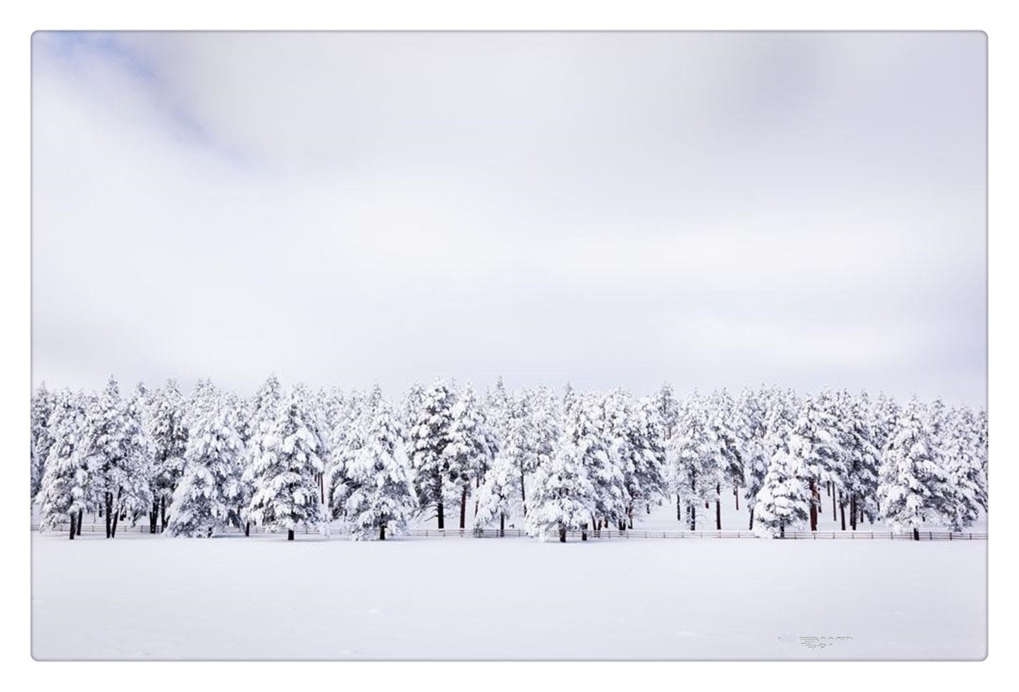 GreenDecor Polyster White Winter Photography Background Backdrop 5x7ft ... GreenDecor Polyster White Winter Photography Background Backdrop 5x7ft ...
