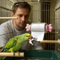 Bird Shredding Toys, Parrot Rolling Paper Play Toy with Hanging Chain ...