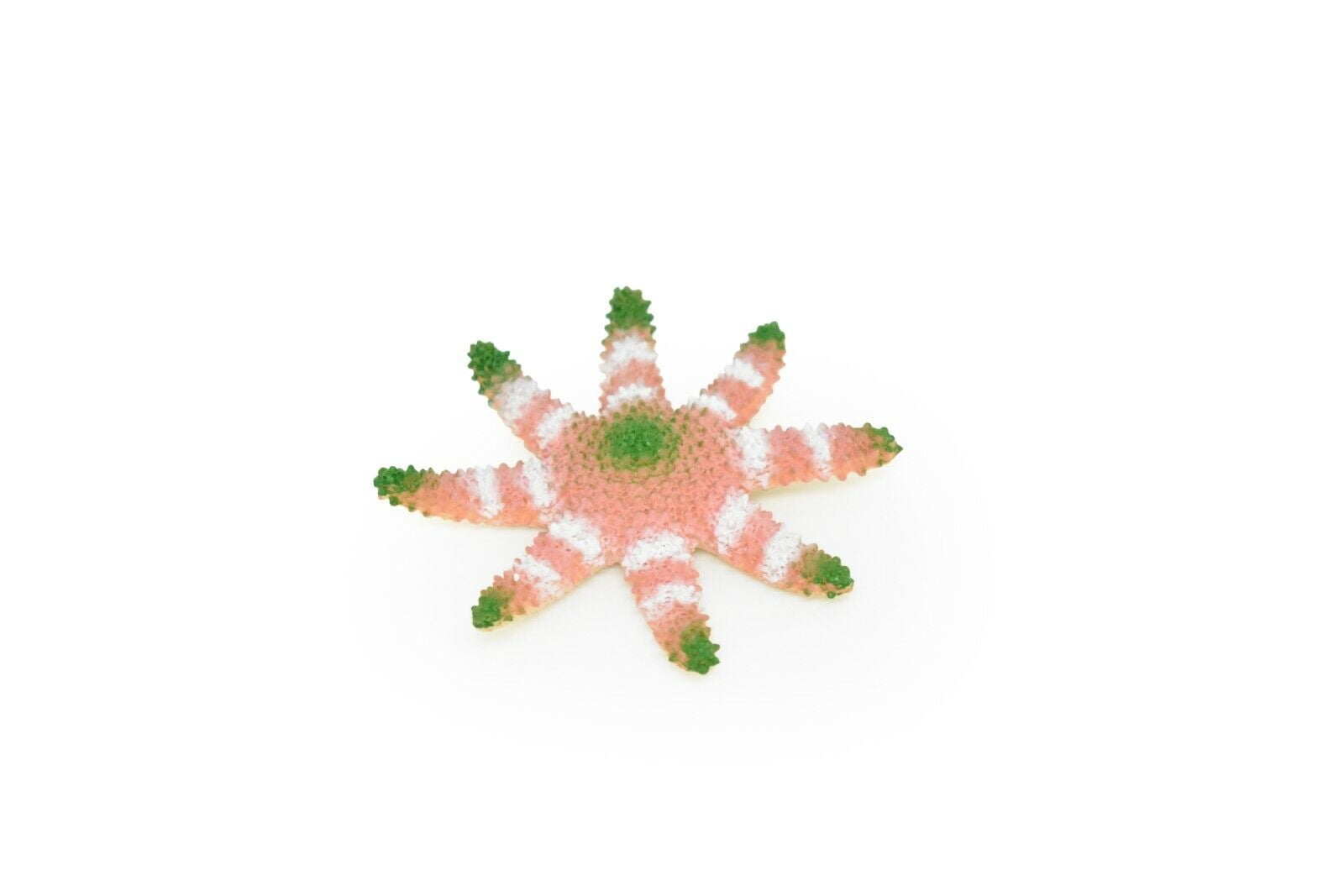 Starfish Toys