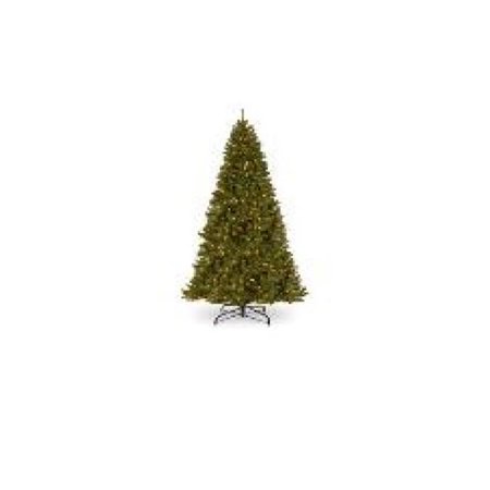 National Tree NRVK7-500-75 7.5 ft. North Valley Black Spruce Tree ...
