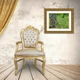 Van Gogh, Vincent 32x26 Gold Ornate Wood Framed with Double Matting ...
