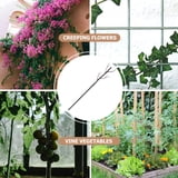 GOOHOCHY 5 Sets Garden Plant Climbing Pole Potted Plant Support Garden ...