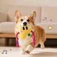 Alphabets Shape Molar Chew Toy For Dog Durability Rope Knot Teeth ...