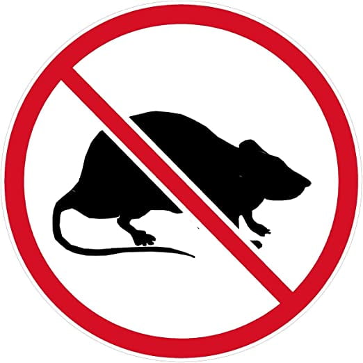 No Rats Union Decal Labor Scabs Rat Gloss Vinyl Hard Hat Helmet 3M ...