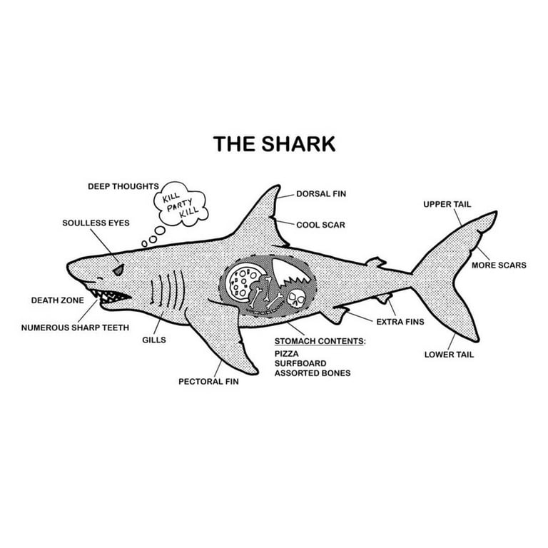 Shark Dissection Diagram
