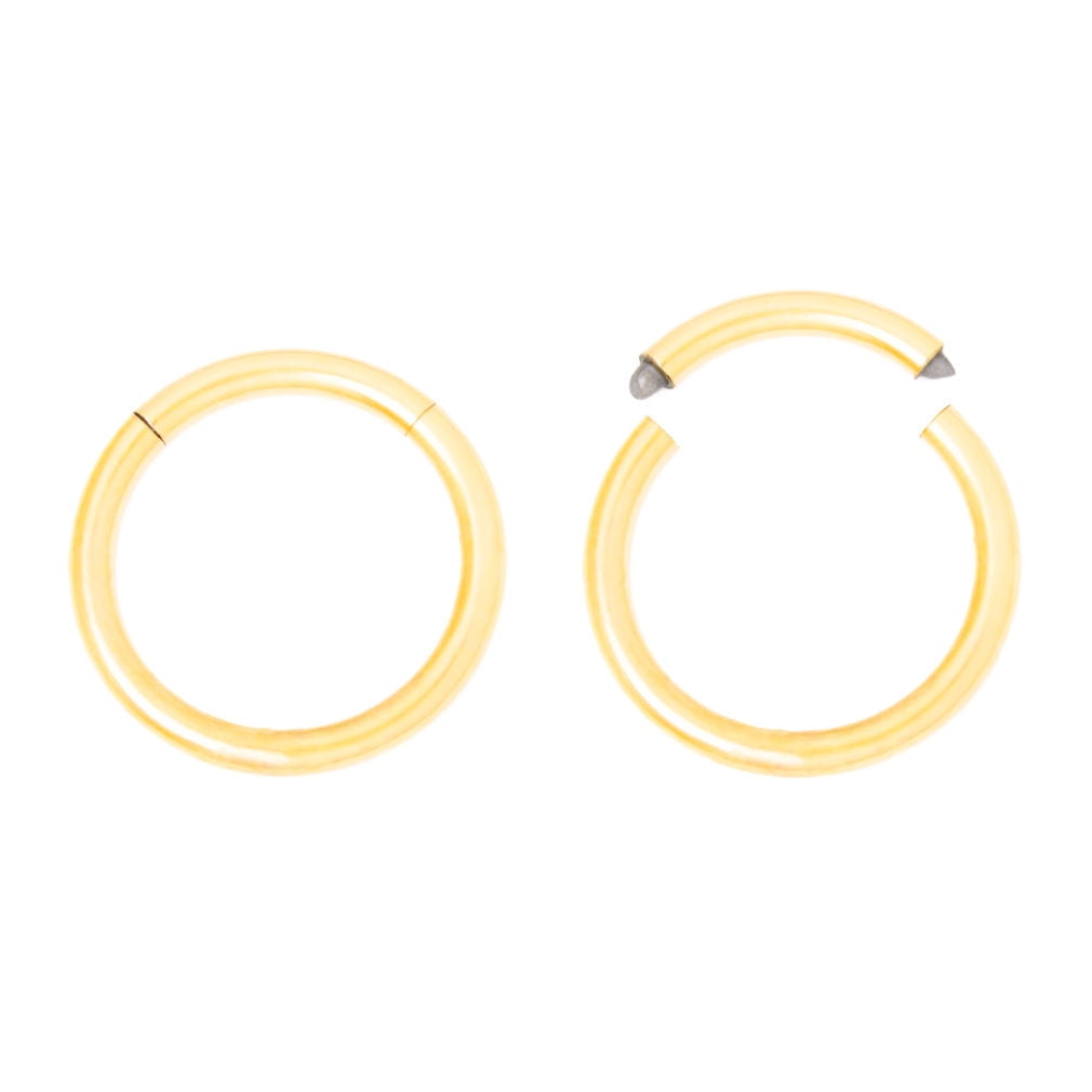 Seamless Piercing Hoops - Cartilage, Nose, Rook, Daith, Septum, Eyebrow ...