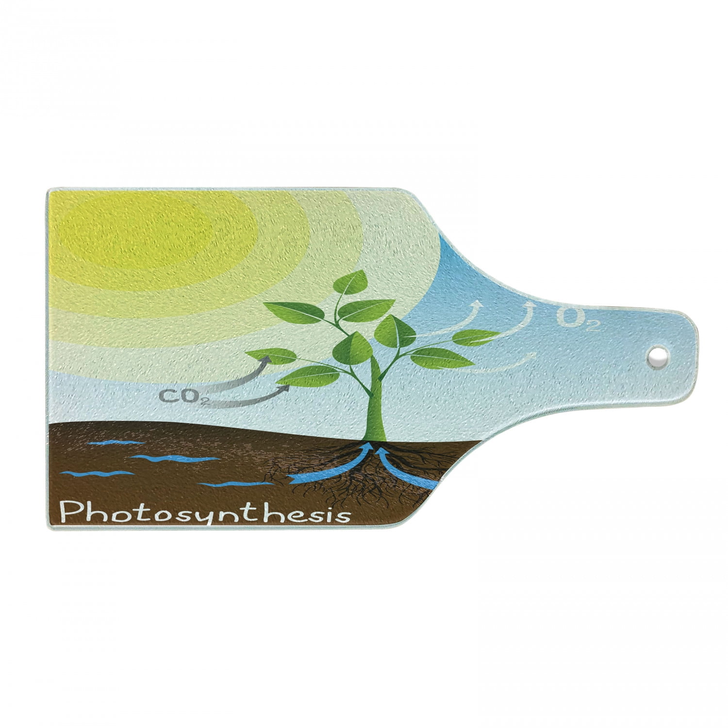 Science Cutting Board, Simple Photosynthesis Scheme Plant Sun Molecules ...