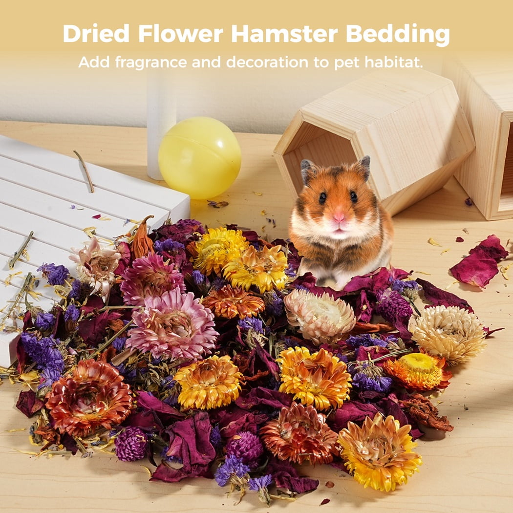 Hamsters With Flowers