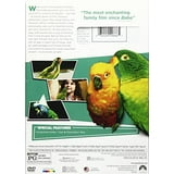 Paulie (DVD) - Walmart.com