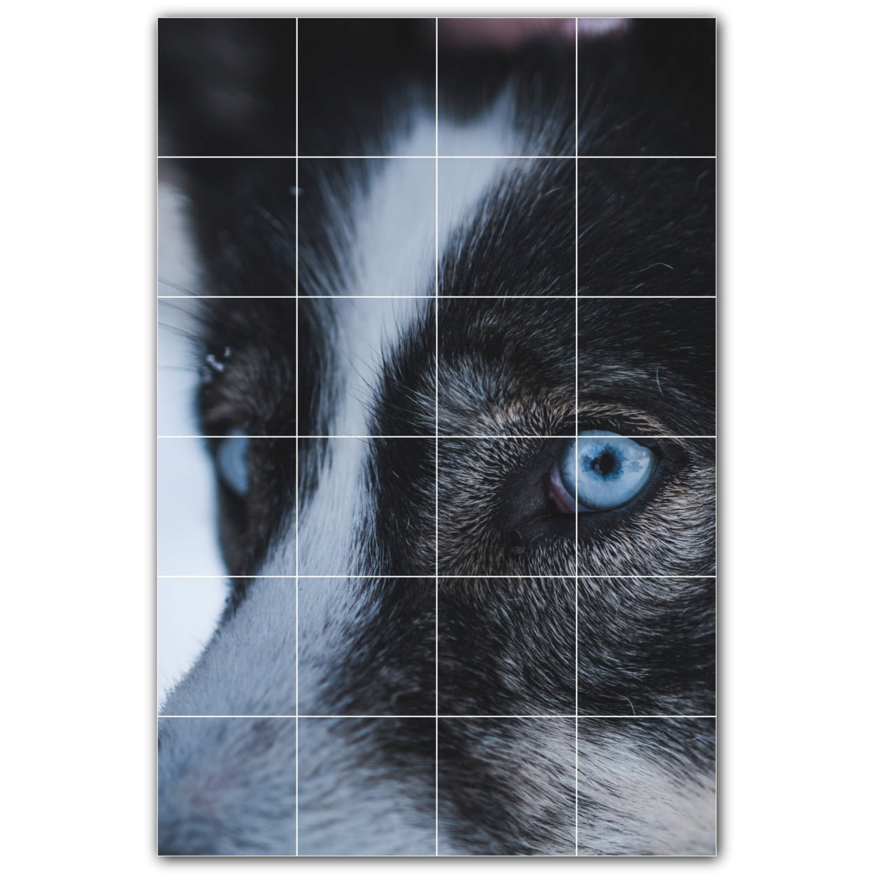 Picture-Tiles.com: Wolf Ceramic Tile Wall Mural WAL501245-46M. 24"W x ...