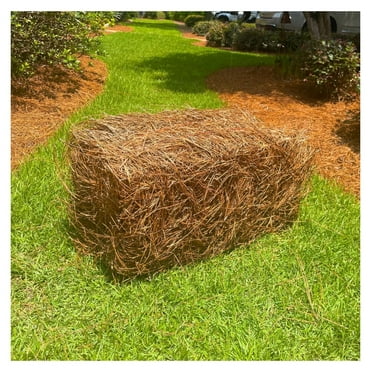 Rhino Seed EZ Straw 1 Cubic Foot Seeding Mulch Premium Processed Straw ...