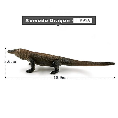 Komodo Dragon Wolf Dog Cat Sloth Rabbit Lizard Parrot Cormorant Fox/3 ...