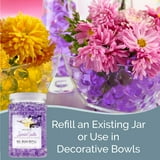 SMELLS BEGONE Odor Eliminator Gel Beads, 12oz 2-Pack, 48oz Refill, Lavender Vanilla Scent ...