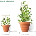 Bamboo Trellis 10 Pack, 16in Fan-Shaped Plant Trellis Indoor for ...