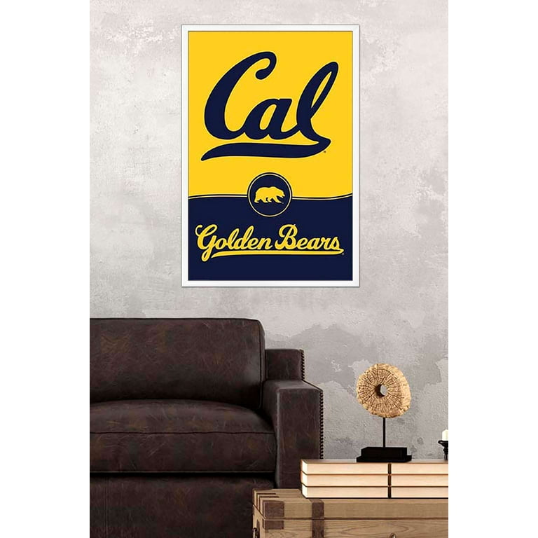 University Of California Berkeley Colors