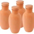 Giaone 2X Natural Red Clay Automatic Watering Pots for Indoor Outdoor ...