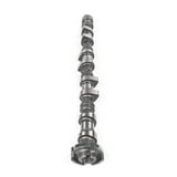 GELUOXI Intake Camshaft LR030366 for Land Rover Discovery, Range Rover ...