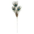 Peacock Feather Picks by Ashland® - Walmart.com