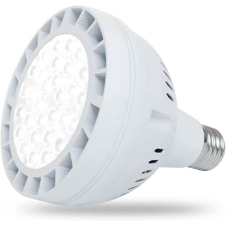 Pentair Pool Led Light Bulb Replacement | Shelly Lighting