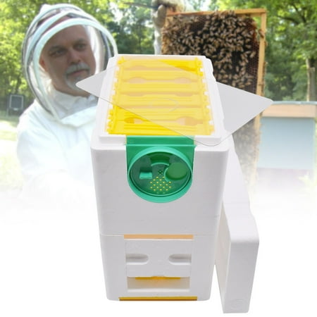 Beekeeping Queen Breeding Rearing Box Beekeeping Supplies Bee Harvest ...