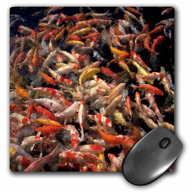 3dRose Koi Fish, Mouse Pad, 8 by 8 inches - Walmart.com