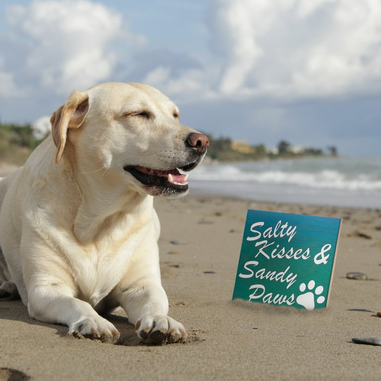 Dog Beach Sign