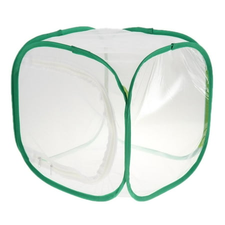 Foldable Insect Butterfly Habitat Net Terrarium Breeding Cage ...