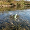 Artificial Fishing Waxworm Soft Plastic Grub Silicone Larva Wiggler ...