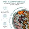 Outward Hound Fun Feeder Slo Bowl – Large 4‑Cup Capacity, Slow Feeding ...