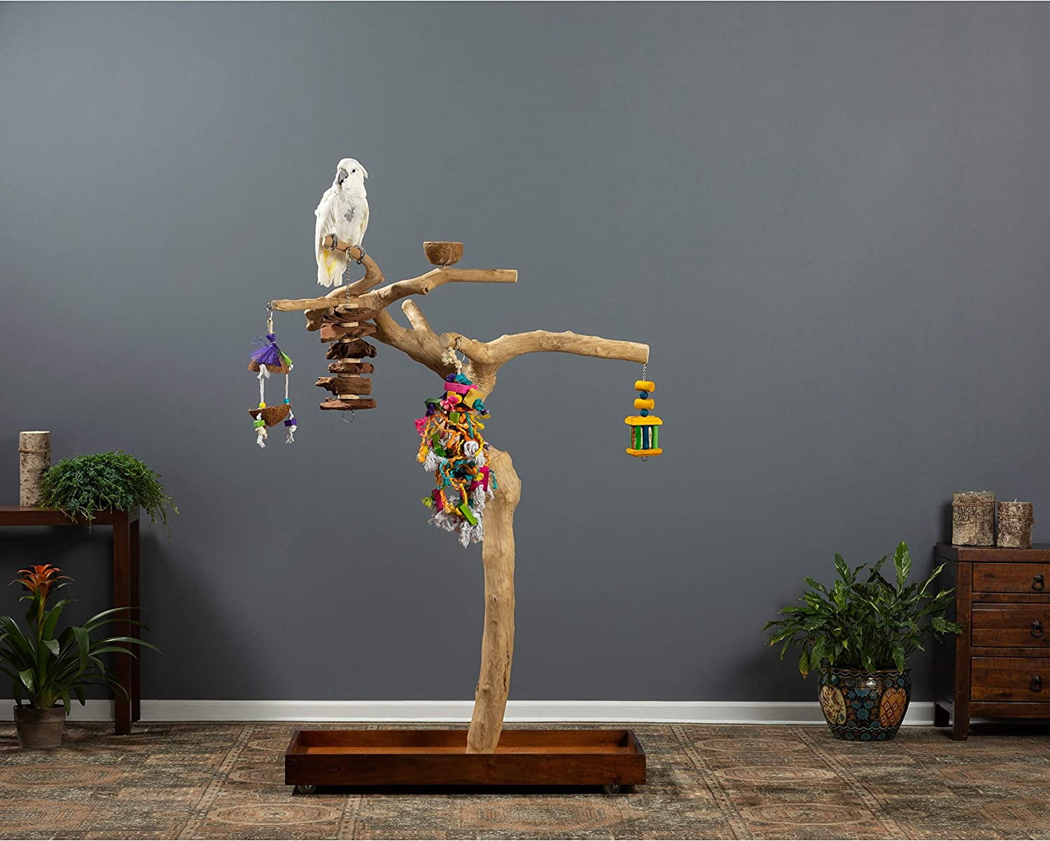 Prevue Pet Products Coffeawood Java Tree Large Floor Playstand Style #2 ...