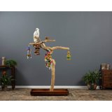 Prevue Pet Products Coffeawood Java Tree Large Floor Playstand Style #2 ...