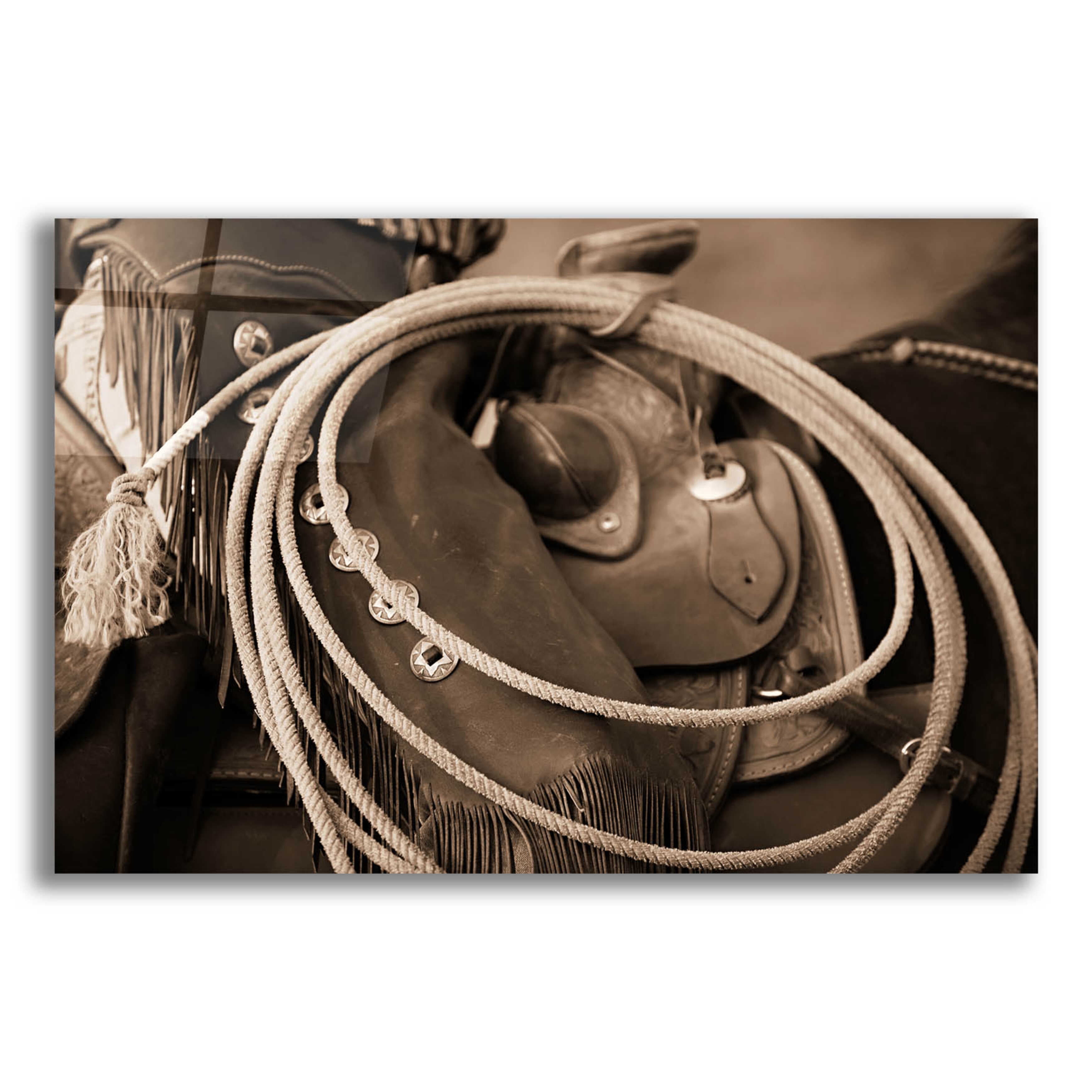 Epic Art 'Cowgirls Lasso' by Lisa Dearing, Acrylic Glass Wall Art, 24 ...