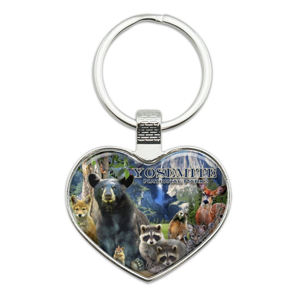 Yosemite National Park California CA Animals Bear Raccoons Beaver ...