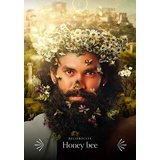 Divine Animals Oracle : Deep wisdom from the most sacred beings in ...