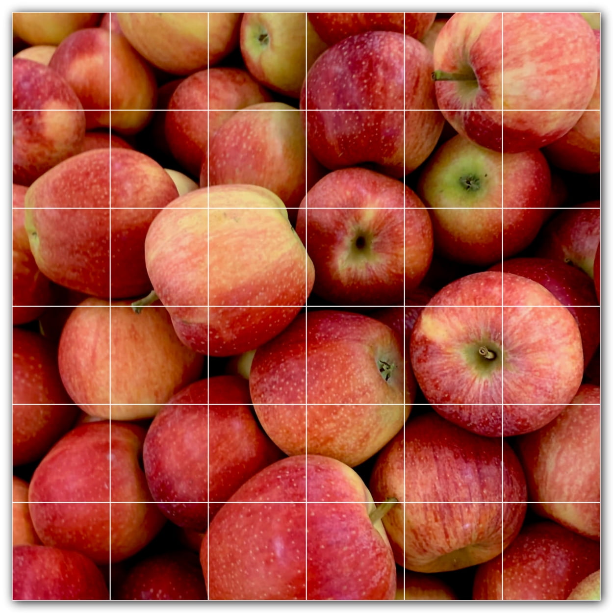 Picture-Tiles.com: Fruit Ceramic Tile Wall Mural WAL500709-66XL. 72"W x ...