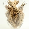 Koyal Wholesale Cholla Wood Aquarium Branches 2lb Bag Airplants Reptile ...