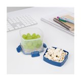 Sistema To Go Divided Snack Container, 13.5 oz, Plastic - Walmart.com