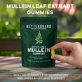 Betterbrand Mullein Chewable Gummies for Lung Cleanse and Detox ...