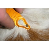 Tick Key Tick Remover Original Size:Pack of 12 Color:Assorted - Walmart.com