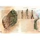 DC Comics: Anatomy of a Metahuman (Hardcover) - Walmart.com