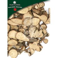 Mushroom Mojo Reishi Mycelium Plug Spawn - 100 Count Plugs - Grow ...