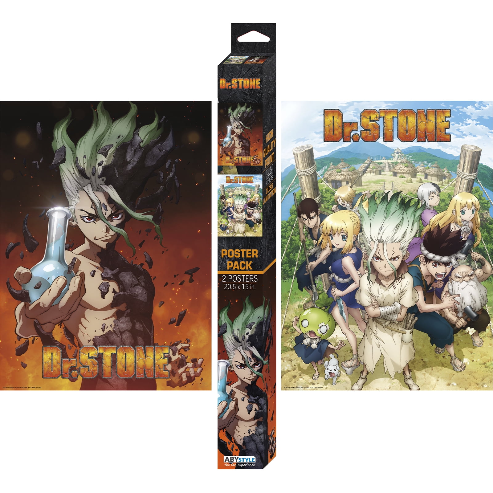 ABYstyle Dr. Stone - Boxed Poster Set - Walmart.com