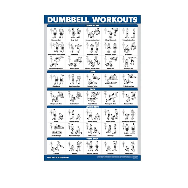 Palace Learning Dumbbell Workout Exercise Poster - Free Weight Body ...
