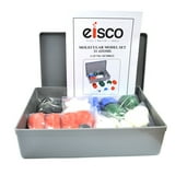 31 Atoms Molecular Model Set - Eisco Labs - Walmart.com