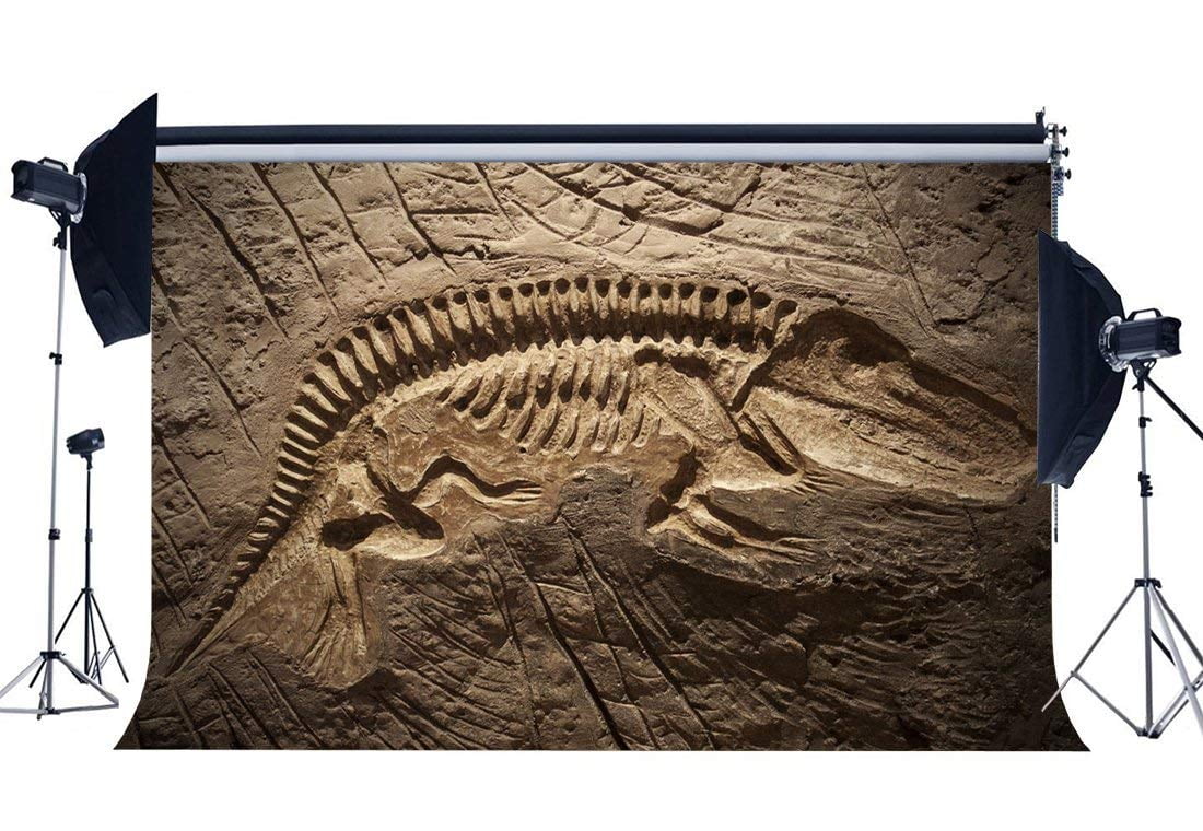 ABPHOTO Polyester 7x5ft Dinosaur Fossils Backdrop Jurassic Period ...