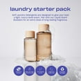 Sweet Ash Laundry Detergent, Low Key Sweet and Earthy Scent, 32 Loads ...