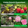 VIVOSUN Nutrients Base A and B Bundle, Liquid Fertilizer for Growth and ...