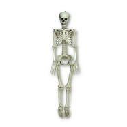 Life-Size Plastic Glow Skeleton Halloween Accessory - Walmart.com