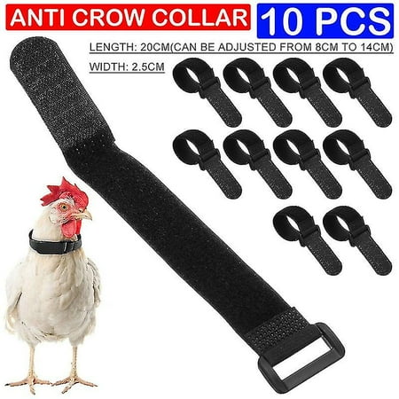 10 Pack Anti-crow Collars, Rooster Noiseless Neck Nylon Strap ...